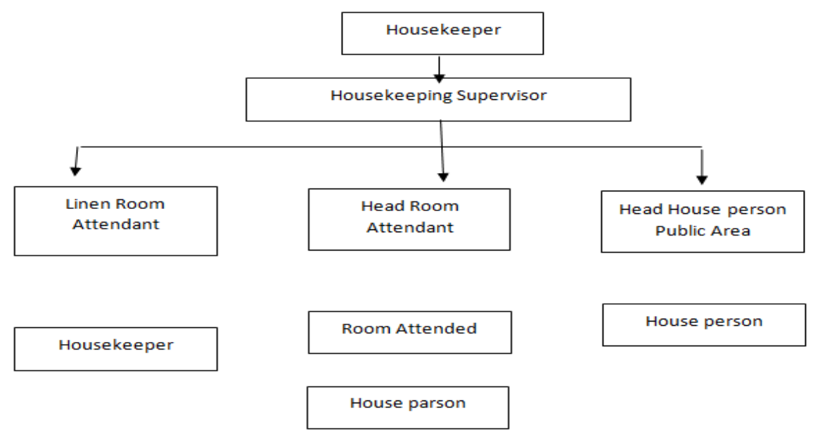 Unit 2: Housekeeping Organization - BhmAims