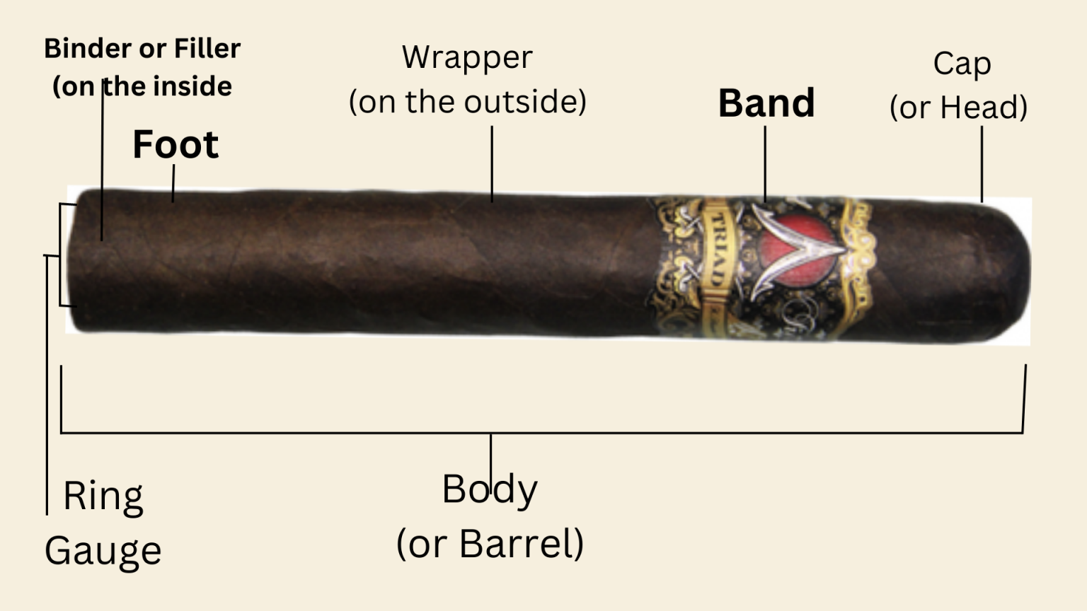 Tobacco | History | Varieties | Cigarettes | Cigar | Service Procedure