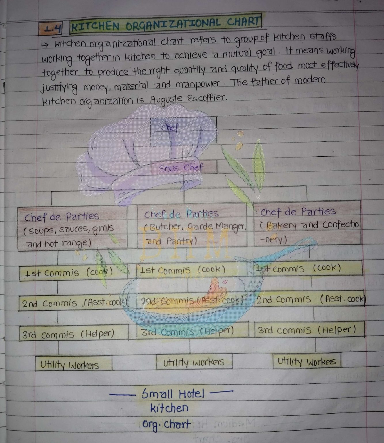 Kitchen & its Types, Layout and Brigade - Study Notes IHM & BHM