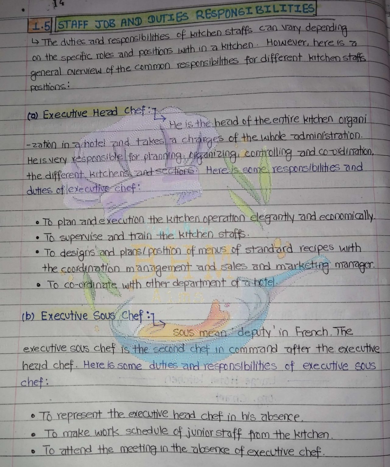 Kitchen & its Types, Layout and Brigade - Study Notes IHM & BHM