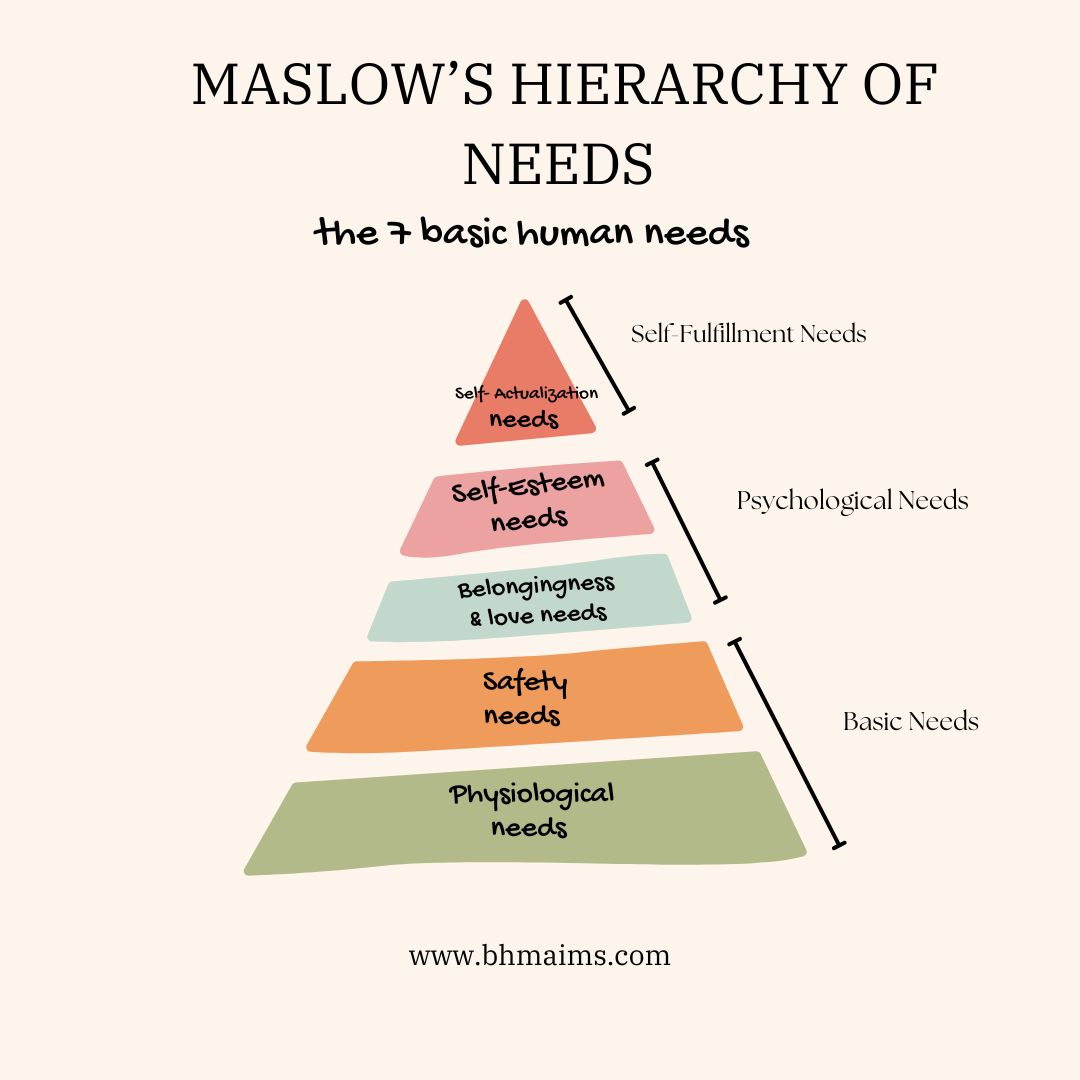 Understanding guest service and the meal experience - Study Note